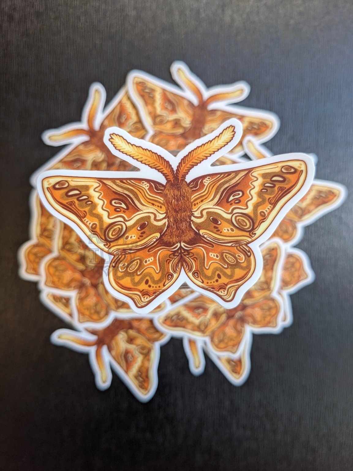 Golden Moth Vinyl Sticker - Shop Greater Modesto